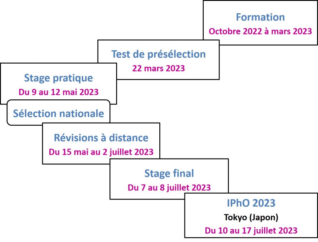 Organisation de l’année – IPhO – Sciences à l'Ecole